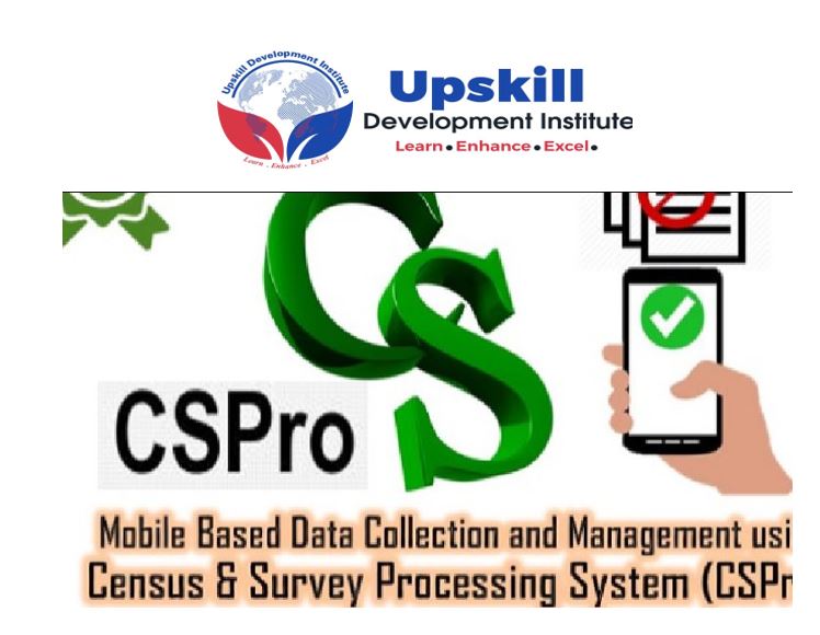Data Collection and Management using CSPRO Training Course - Training or Development Class